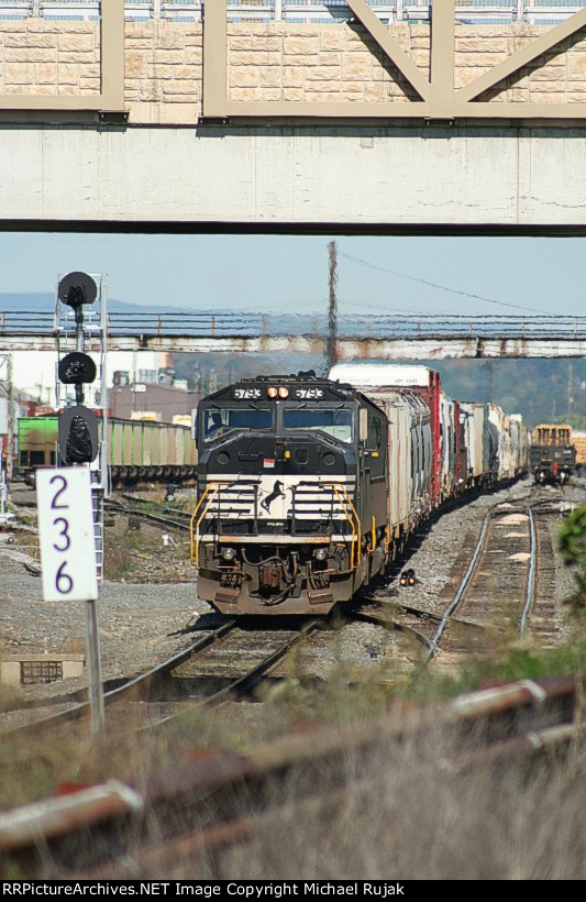 NS 6793